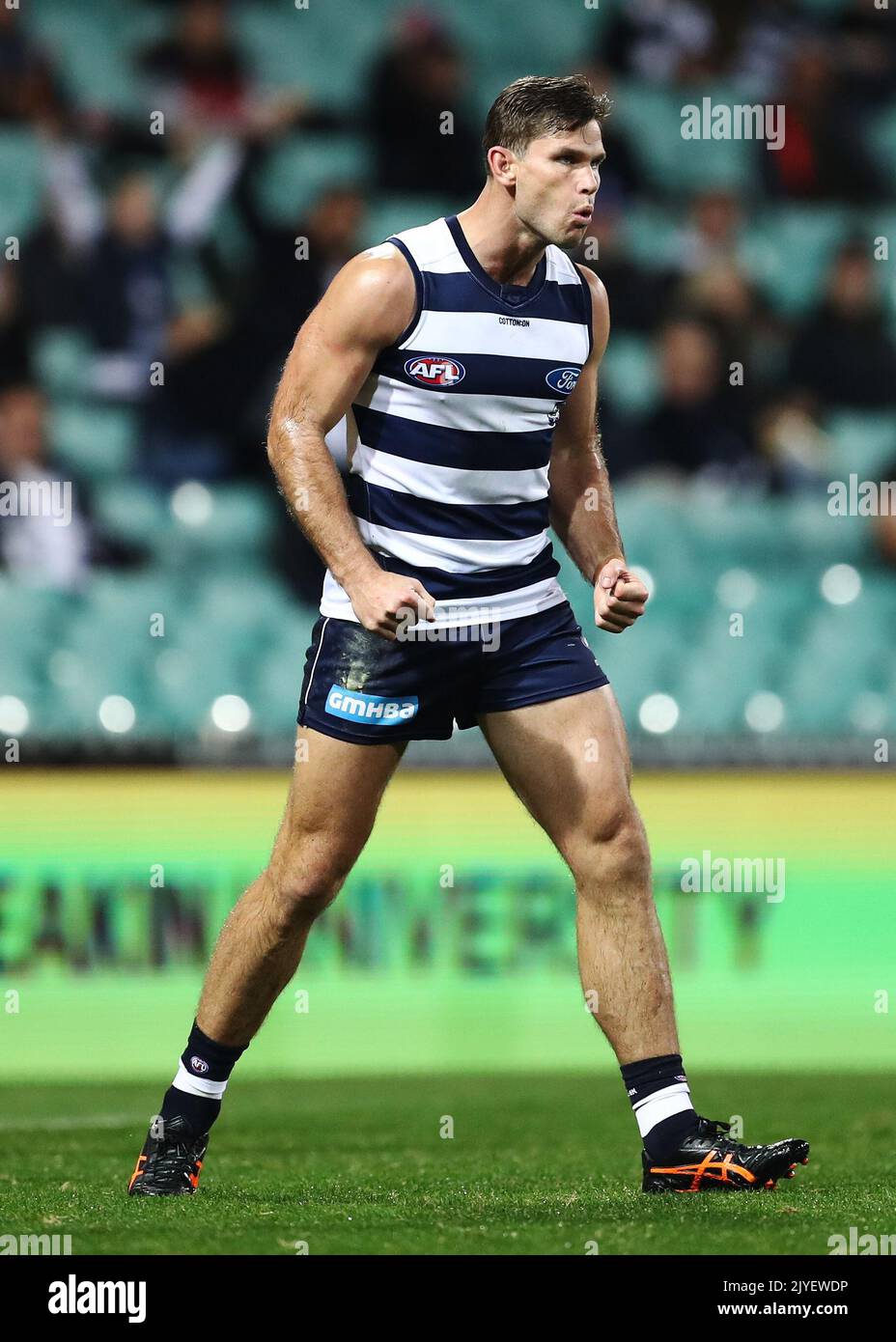 Tom Hawkins of the Cats celebrates kicking a goal during the Round 6 ...