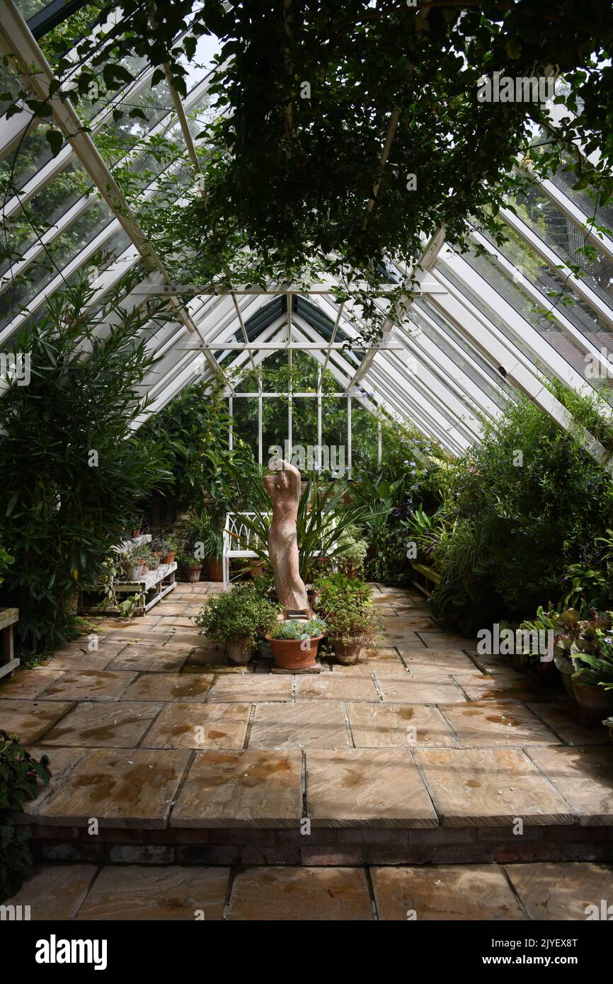 Cacti and climbers in greenhouse hi-res stock photography and images - Alamy