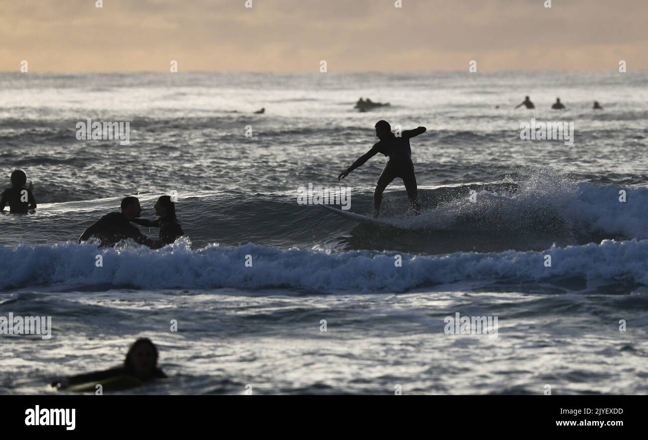 Friends, family, and community members gather for a 'Paddle Out For ...
