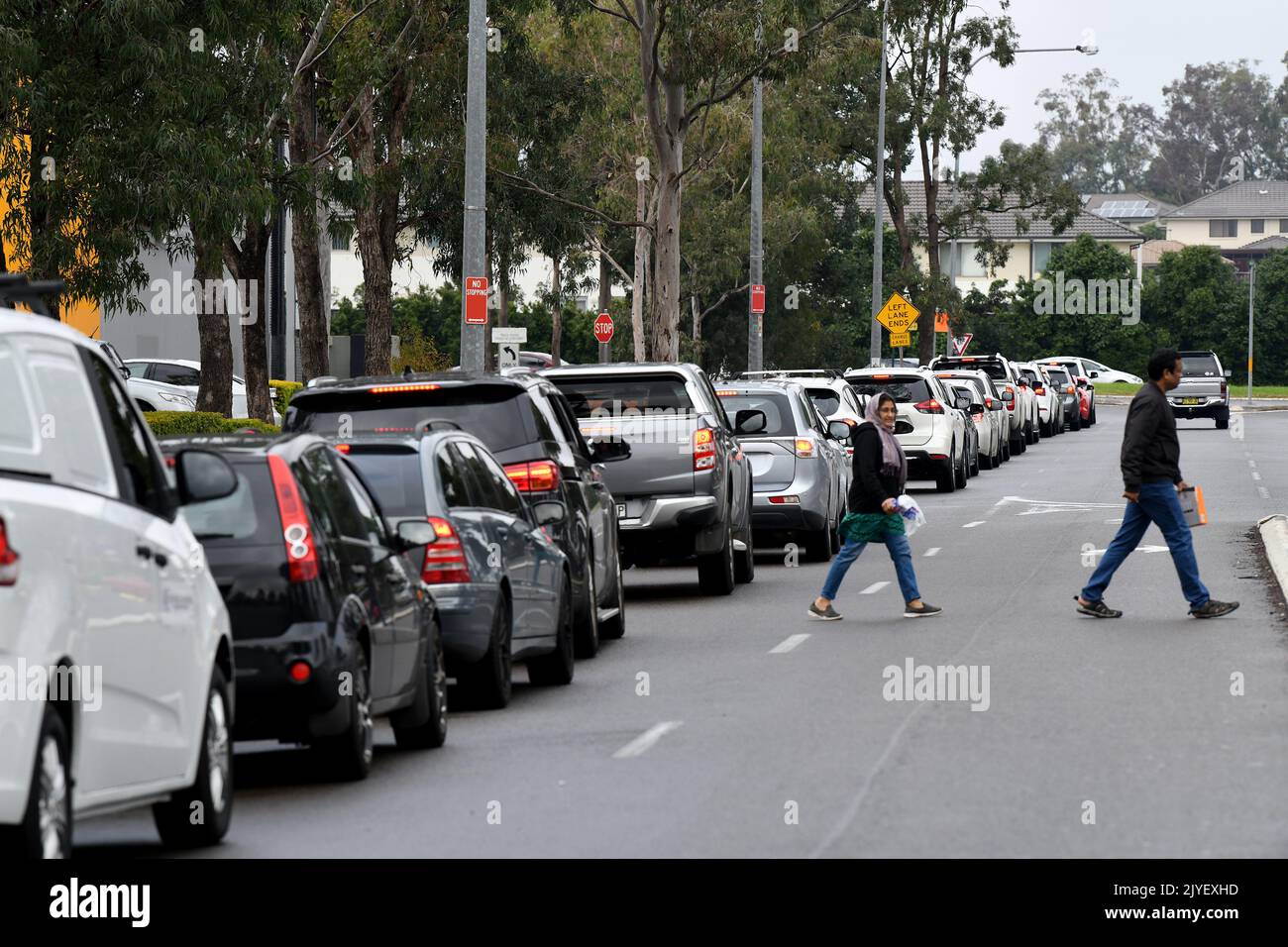 Lines of cars are seen snaking around the block as people line up for ...