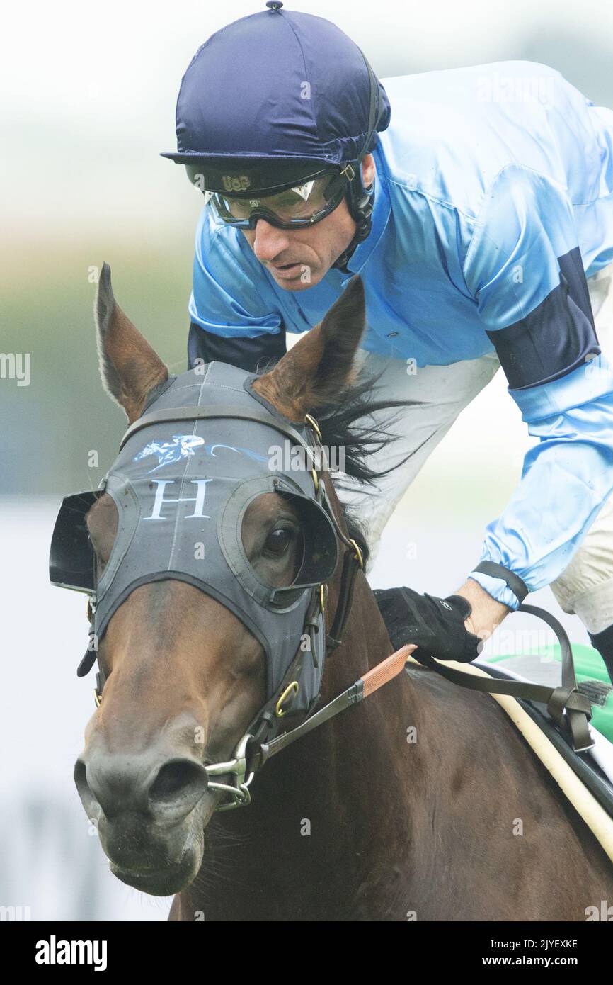 Jockey Glen Boss rides Edison to victory in race 6, the TAB Long May We ...