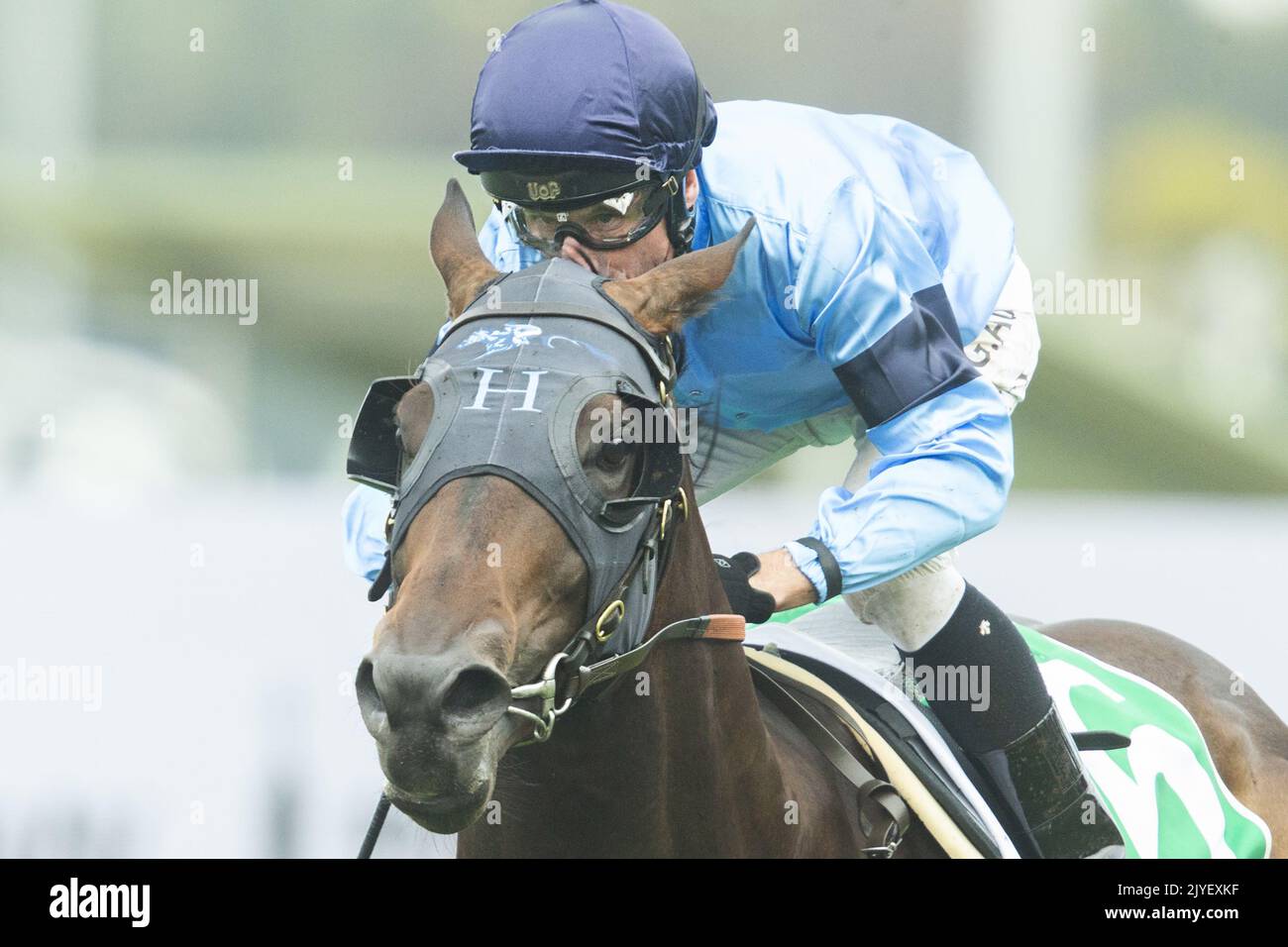 Jockey Glen Boss rides Edison to victory in race 6, the TAB Long May We ...
