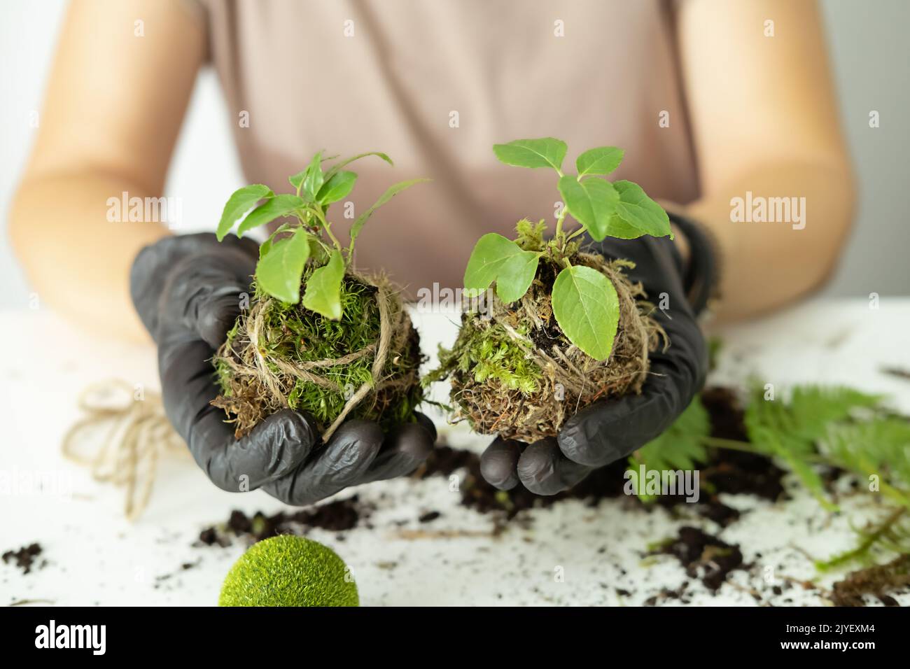 Biophilic crafting hi-res stock photography and images - Alamy