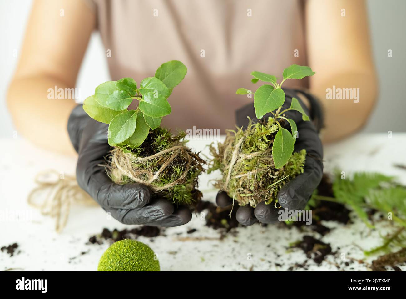 Biophilic crafting hi-res stock photography and images - Alamy