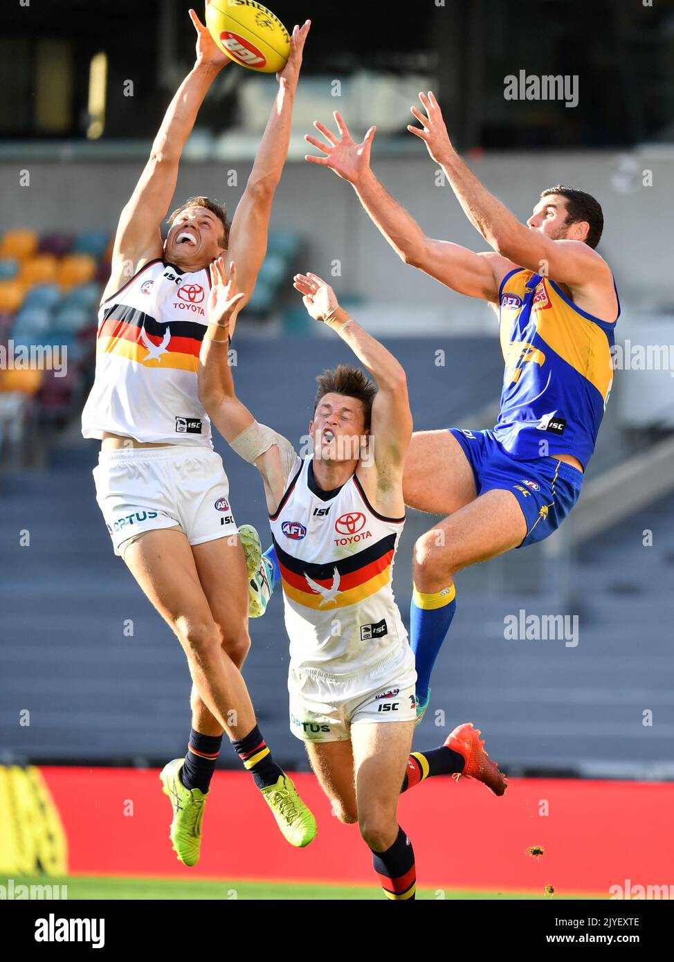 Tom Doedee (left) of the Crows takes a mark in front of Jack Darling ...
