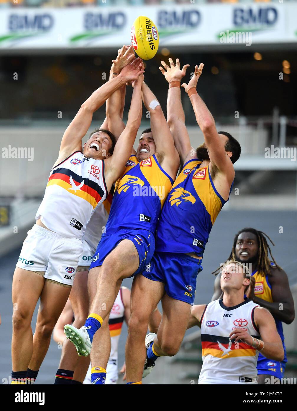 Tom Doedee (left) of the Crows contests for the ball against Jake ...