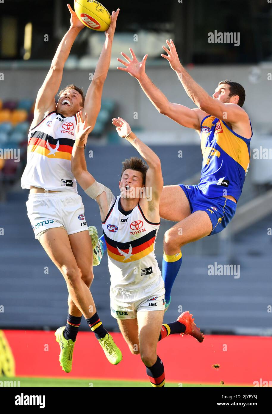 Tom Doedee (left) of the Crows takes a mark in front of Jack Darling ...