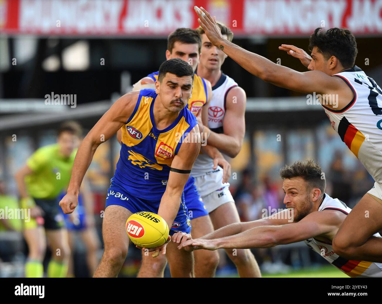 Tom Cole (left) of the Eagles in action during the Round 6 AFL match ...
