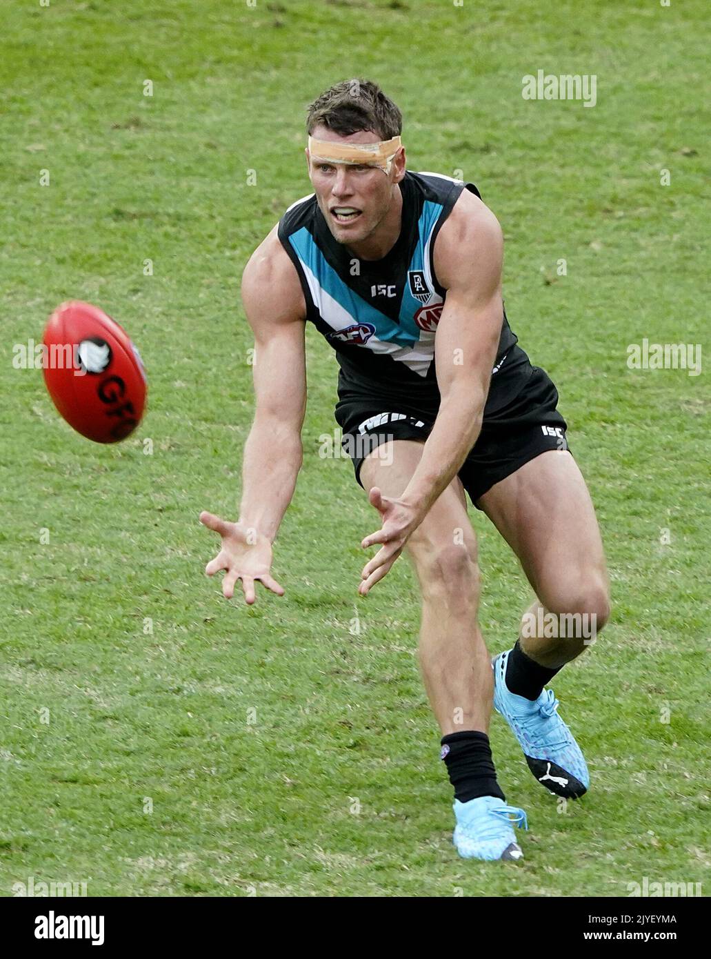 Brad Ebert of the Power during the Round 6 AFL match between the Port ...