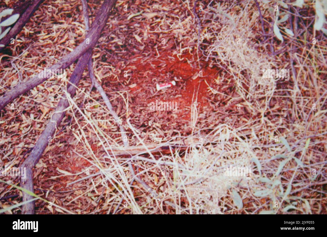 A copy photo of a picture tended as evidence at the Supreme Court in ...
