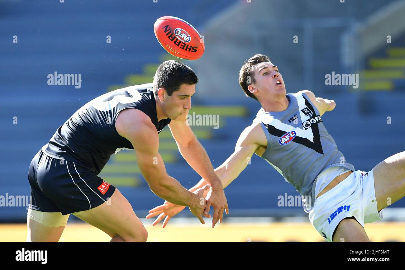 Jacob Weitering (left) of the Blues collides with Connor Rozee (right ...
