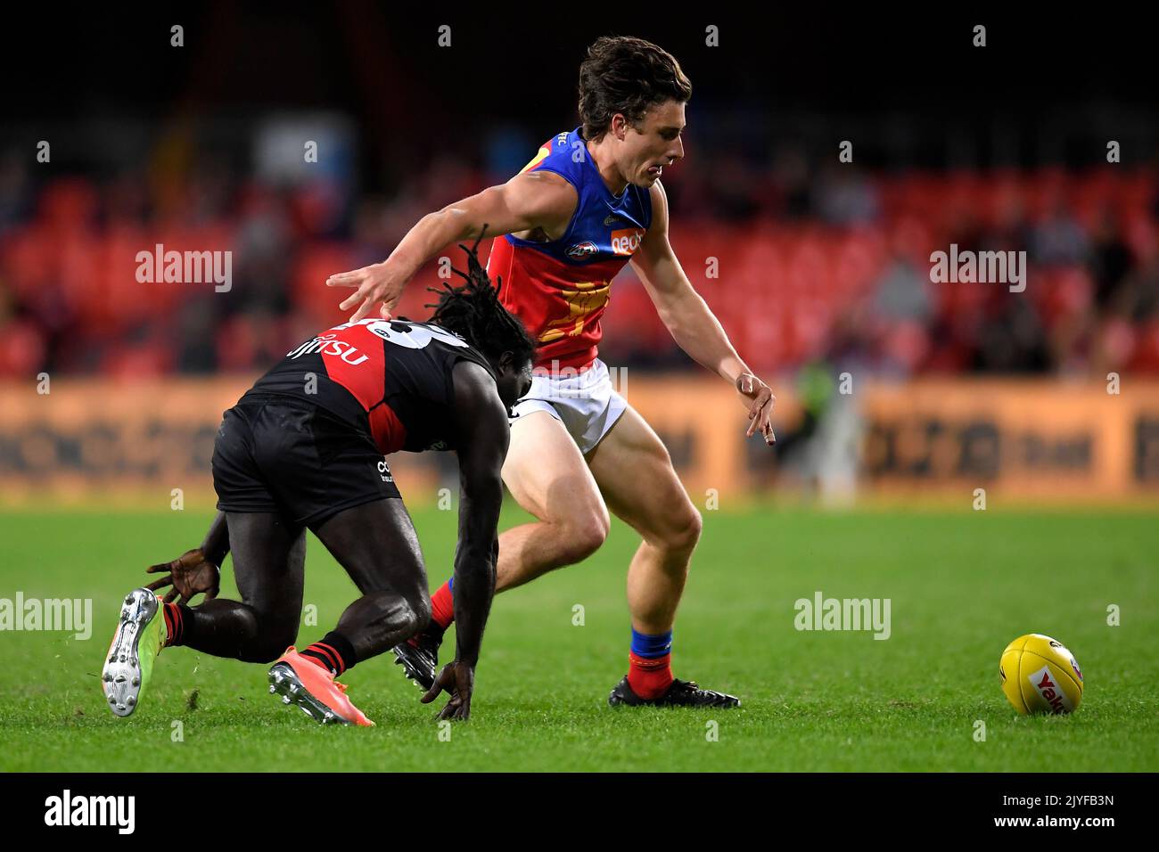 Noah Answerth of the Lions (right) and Anthony McDonald-Tipungwuti of ...