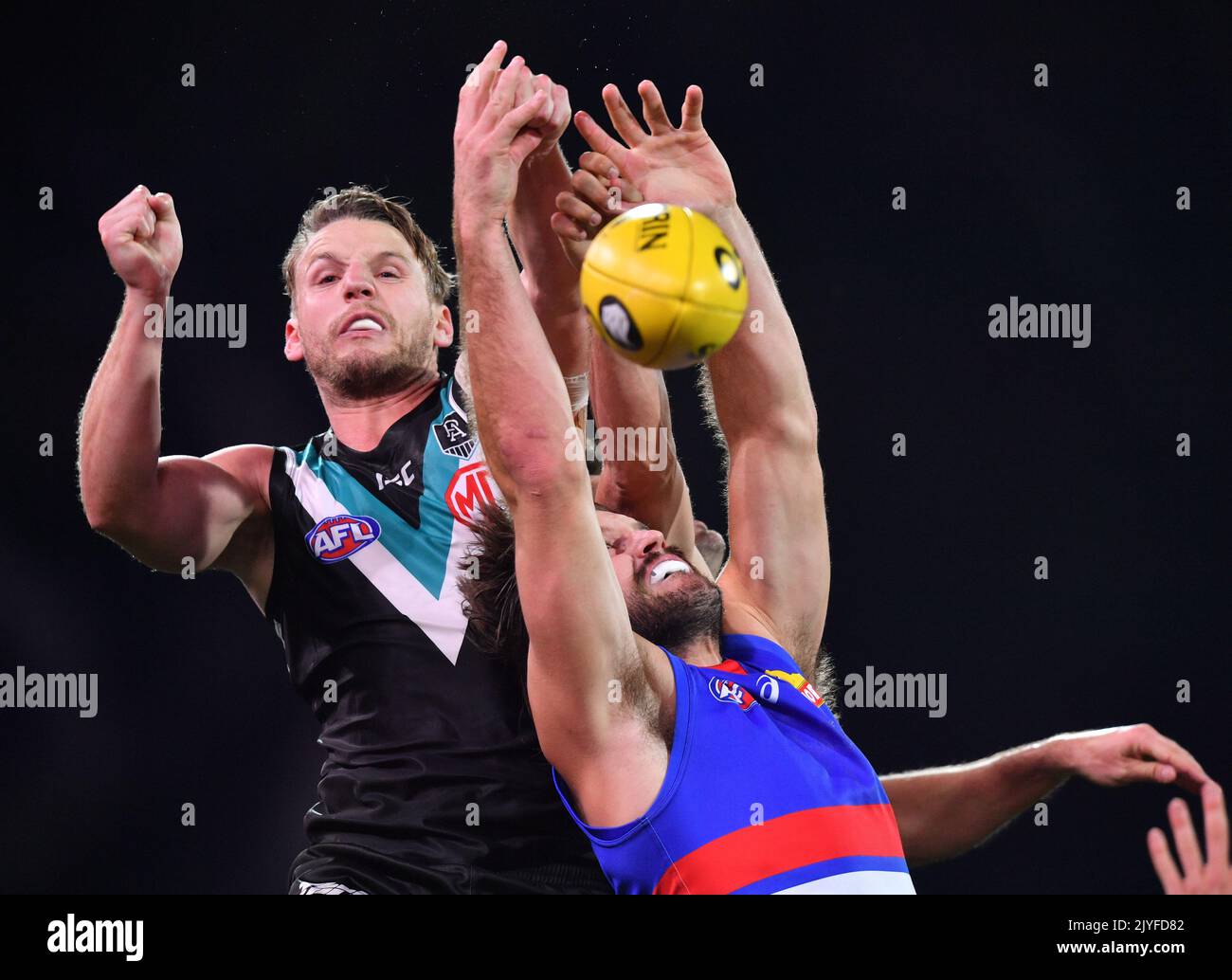 Josh Bruce of the Bulldogs and Trent McKenzie of the Power contest the ...