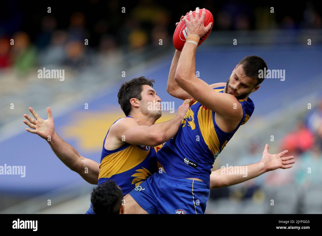 Josh Rotham of the Eagles marks the ball during the Round 11 AFL match ...