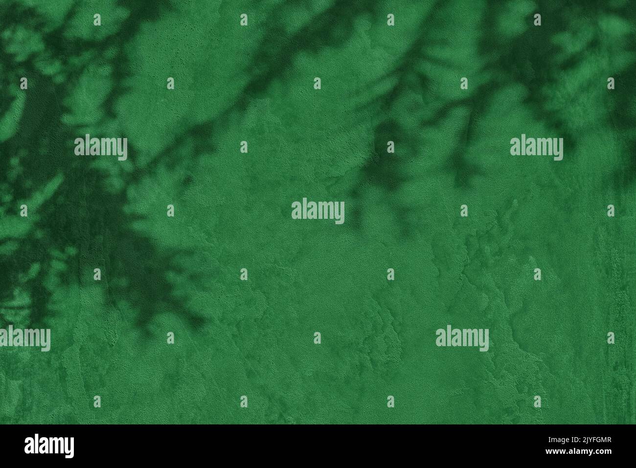 Solid Dark Green Background