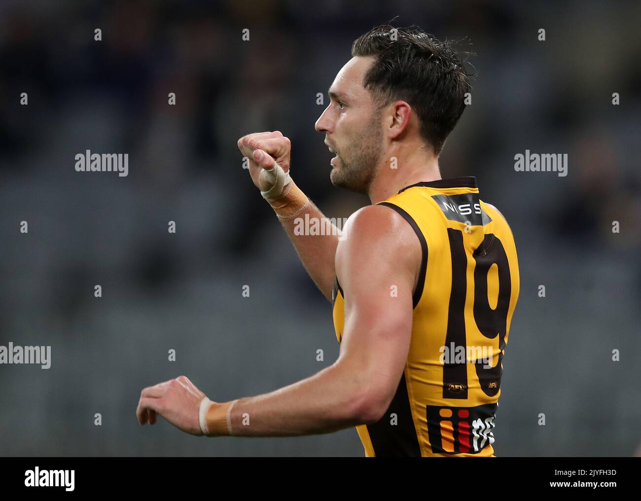 Jack Gunston of the Hawks celebrates kicking a goal during the Round 11 ...
