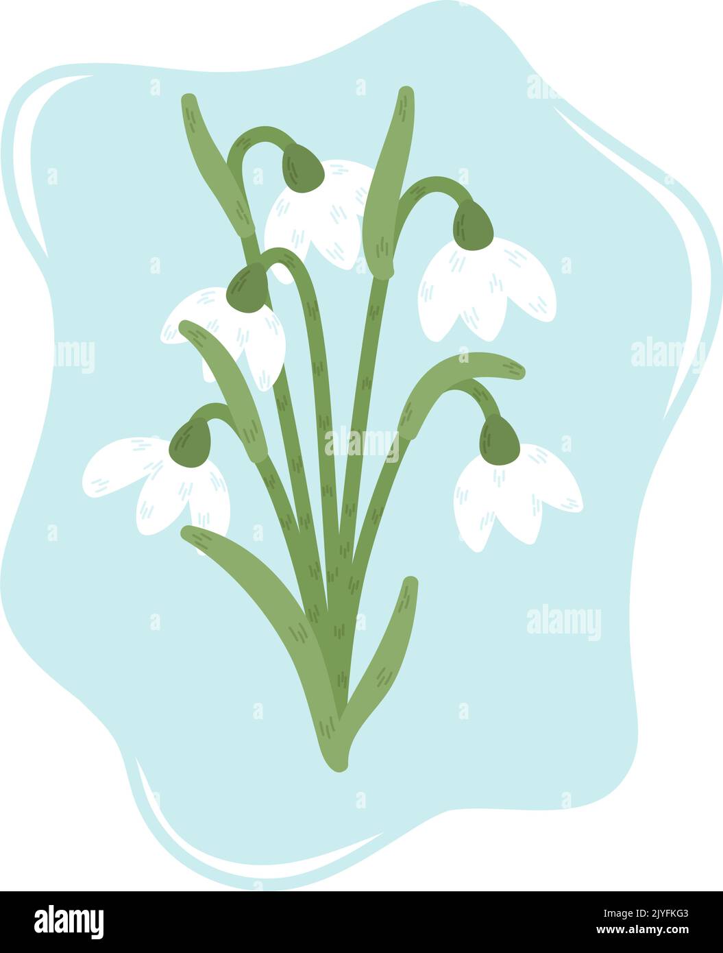 Blooming snowdrops. Beautiful spring flowers, vector illustration Stock ...
