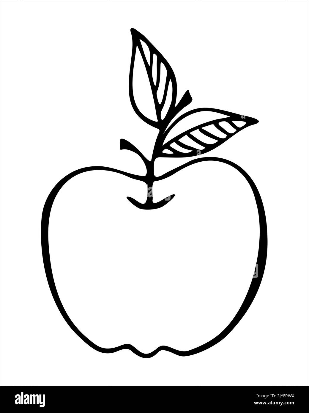 Apple doodle hand drawn contour, white background. Vector illustration ...