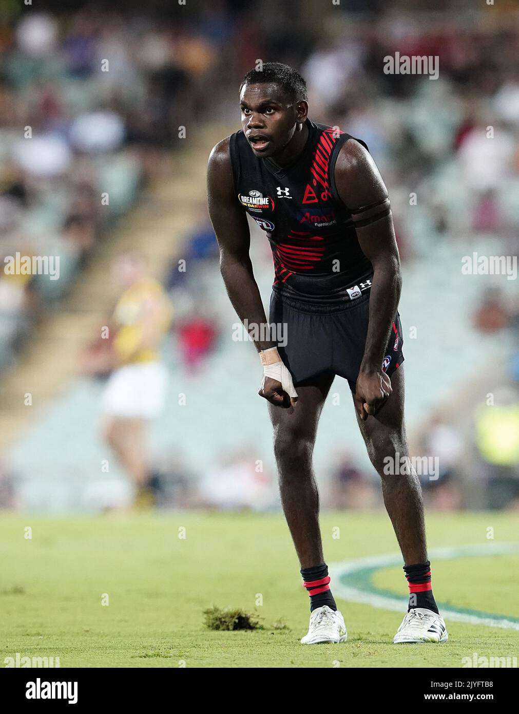 Debutant, Irving Mosquito of the Bombers during the Round 13 AFL match between the Essendon ...