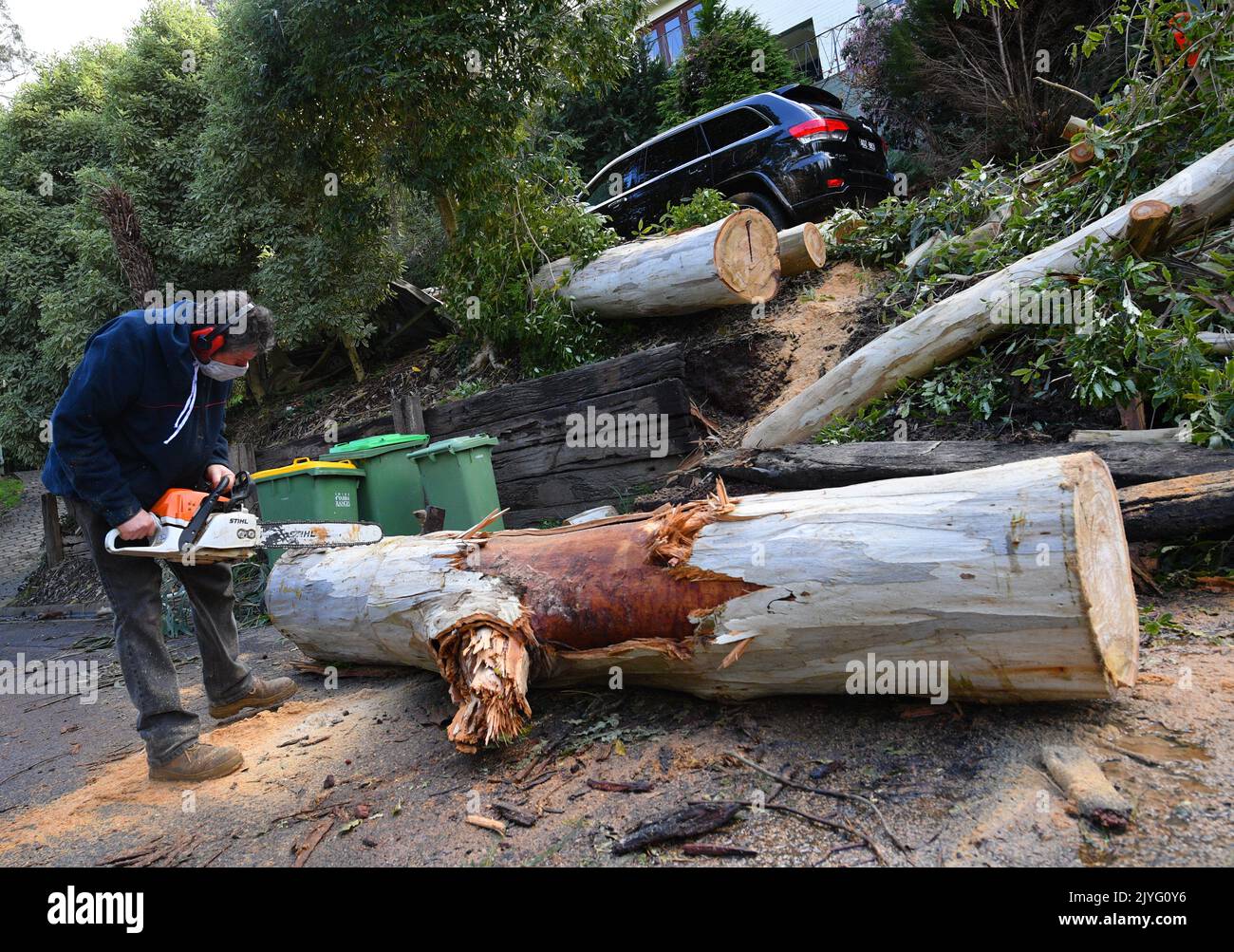 A local resident attends to a fallen tree along Kaola Street in ...