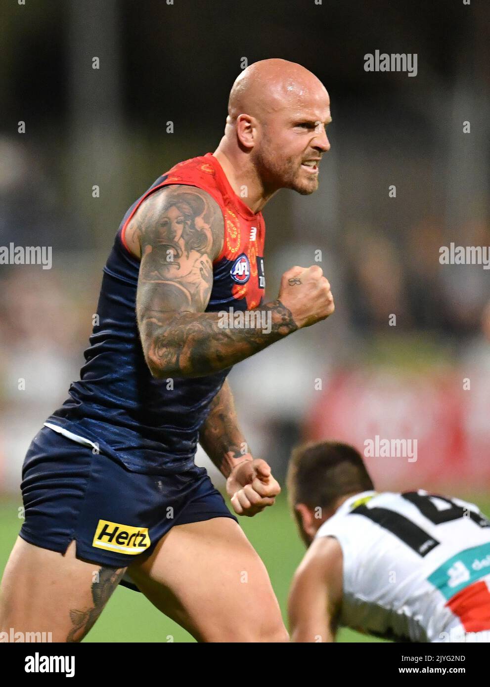 Nathan Jones of the Demons celebrates during the Round 14 AFL match ...