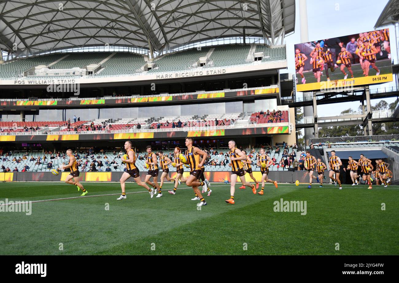 Hawks players run onto the field during the Round 15 AFL match between ...