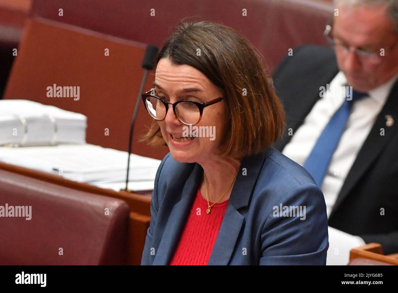 Minister for Families Anne Ruston during Question Time in the Senate ...