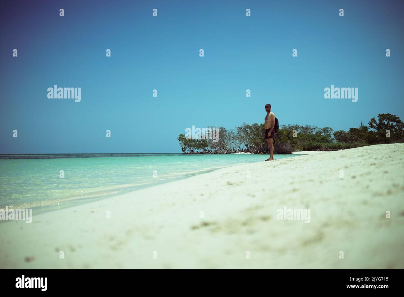 a single person standing on a dreamy beach Stock Photo - Alamy