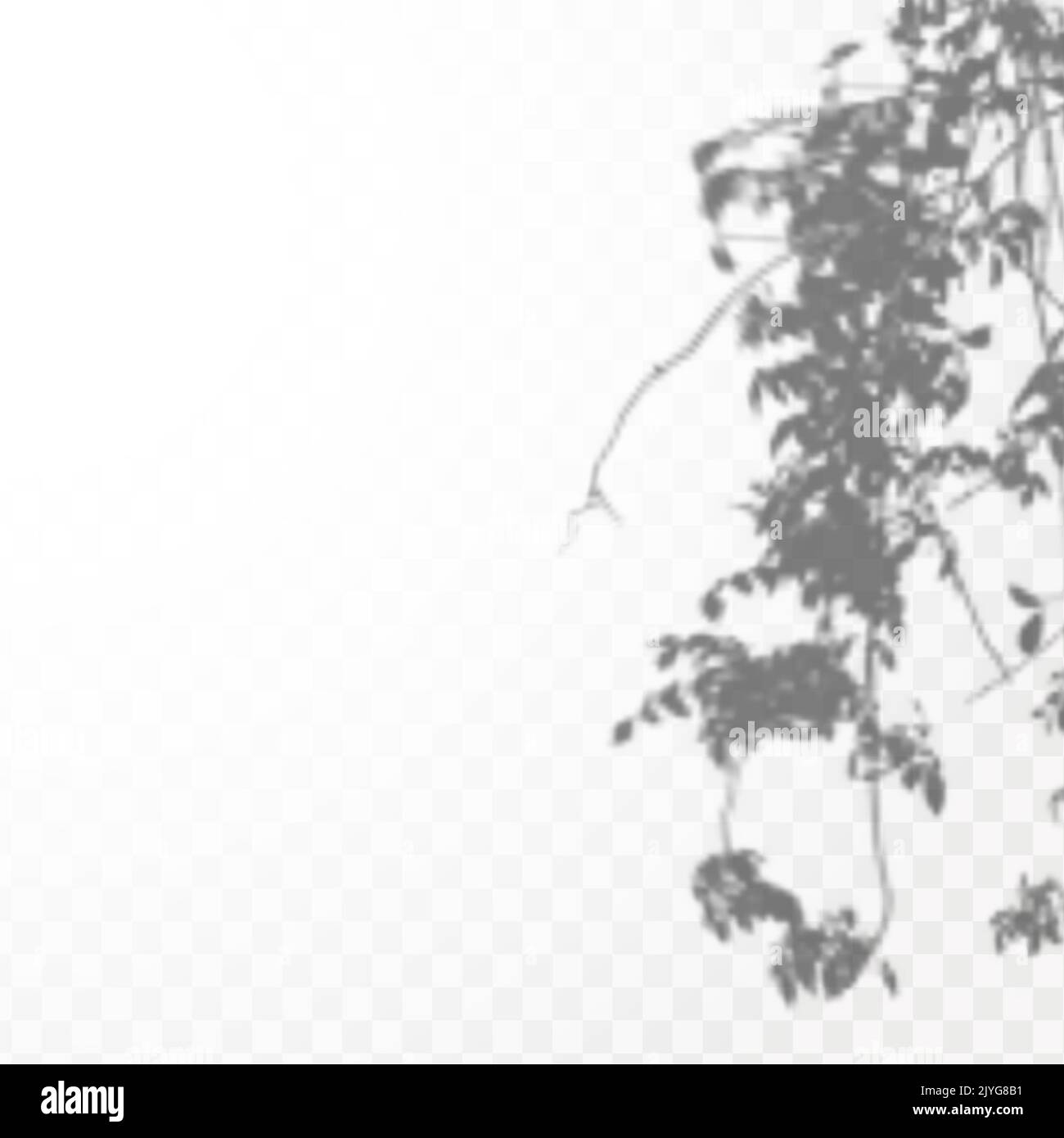 The effect of overlaying shadows. Natural light layout.Realistic shadow ...