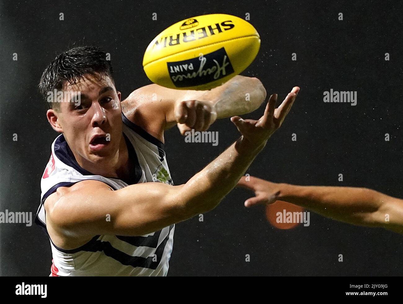Adam Cerra of the Dockers during the Round 16 AFL match between the ...