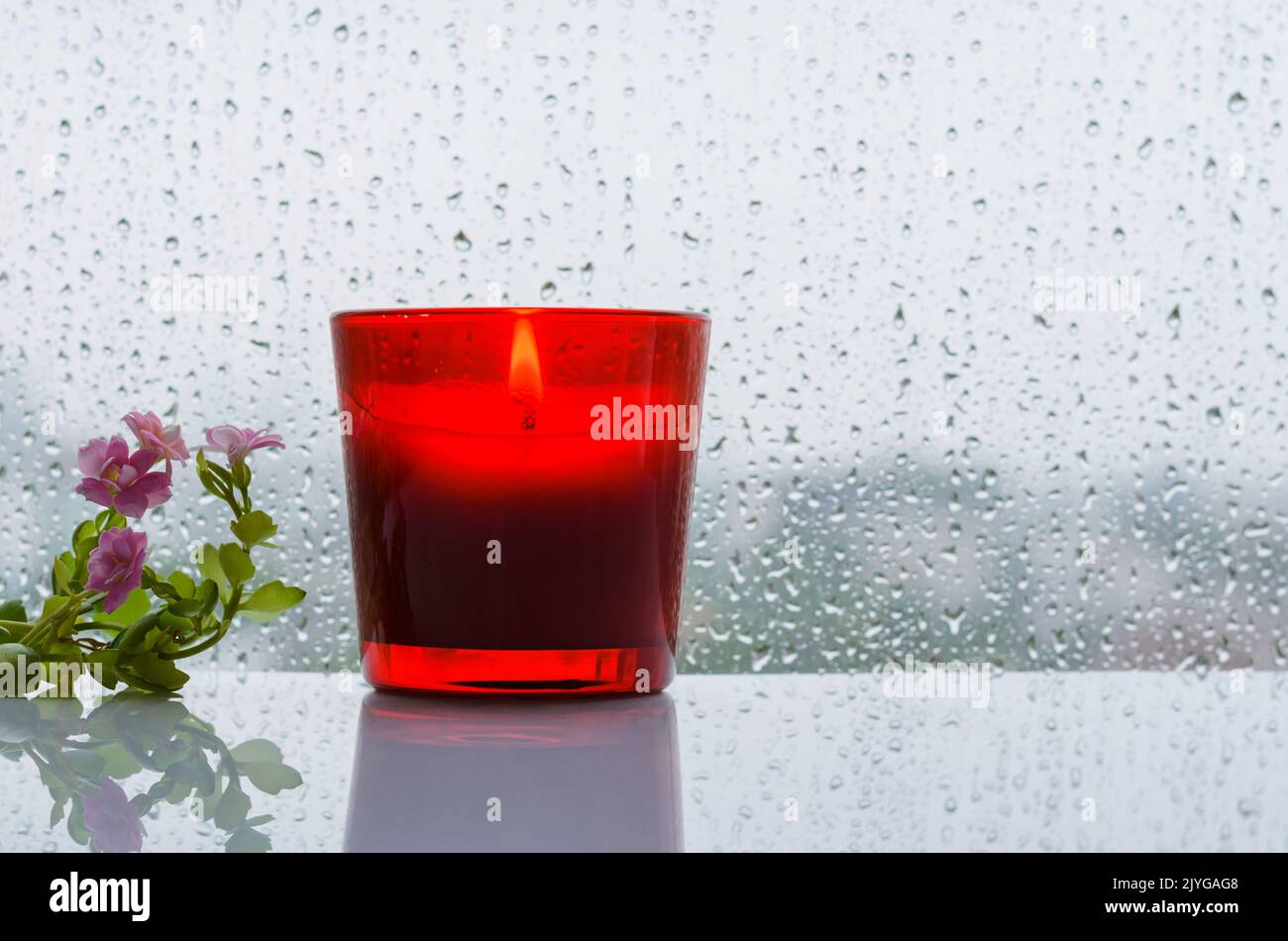 Burning aroma candle puts near by window with small tree and flowers ...