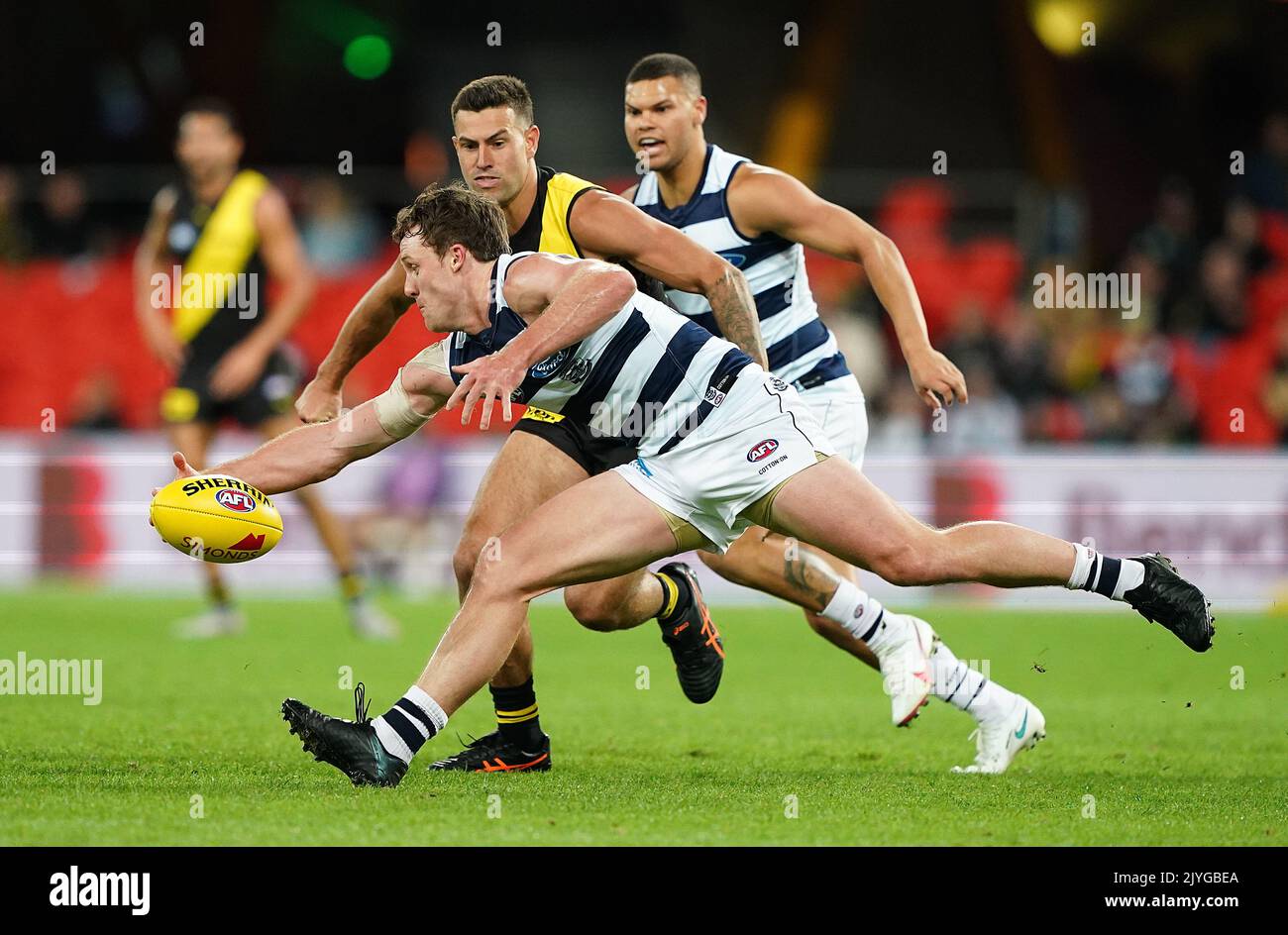 Jed Bews of the Cats during the Round 17 AFL match between the Geelong ...