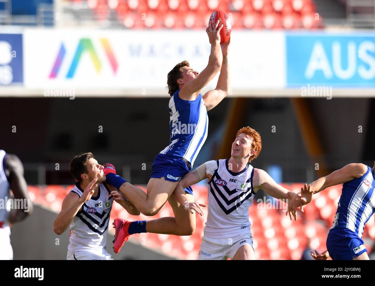Cameron Zurhaar of the Kangaroos takes a mark during the Round 17 AFL ...