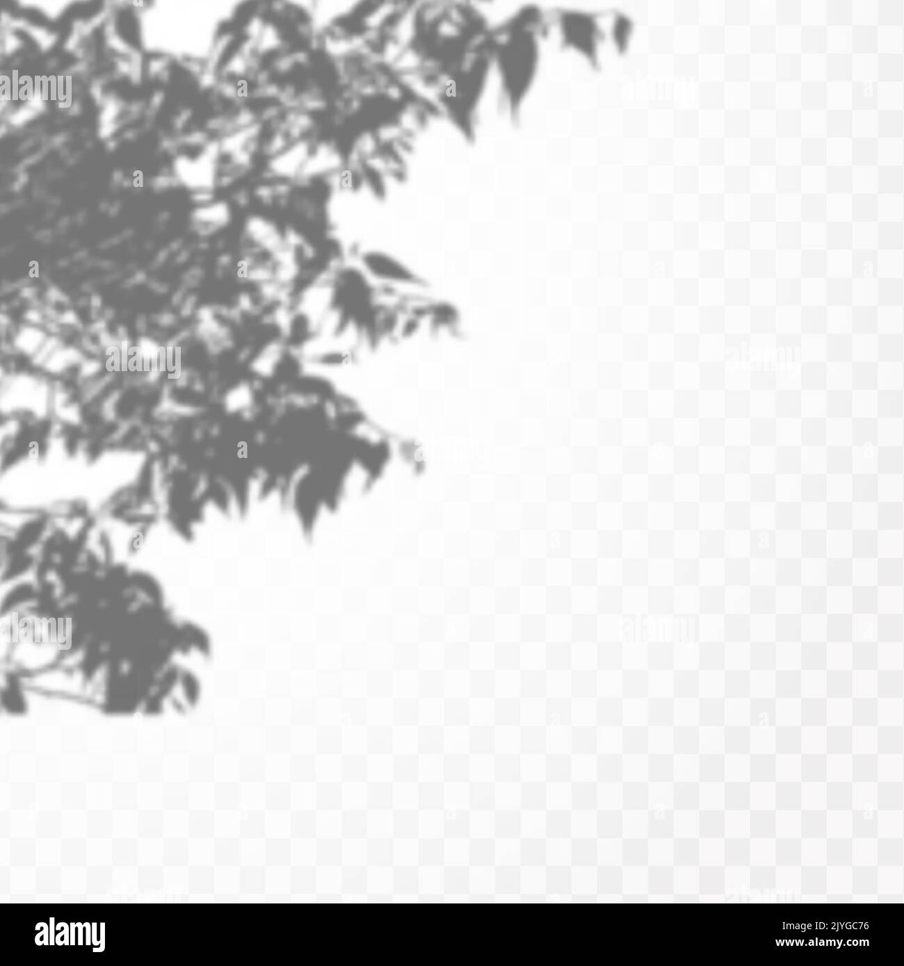 The effect of overlaying shadows. Natural light layout.Realistic shadow ...