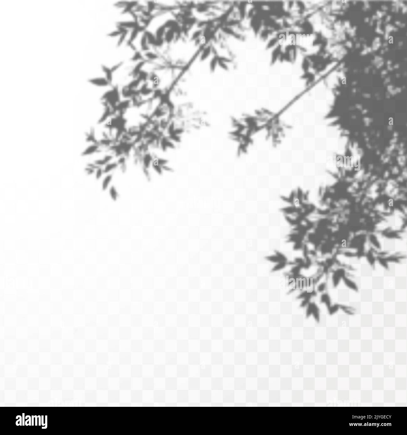 The effect of overlaying shadows. Natural light layout.Realistic shadow ...