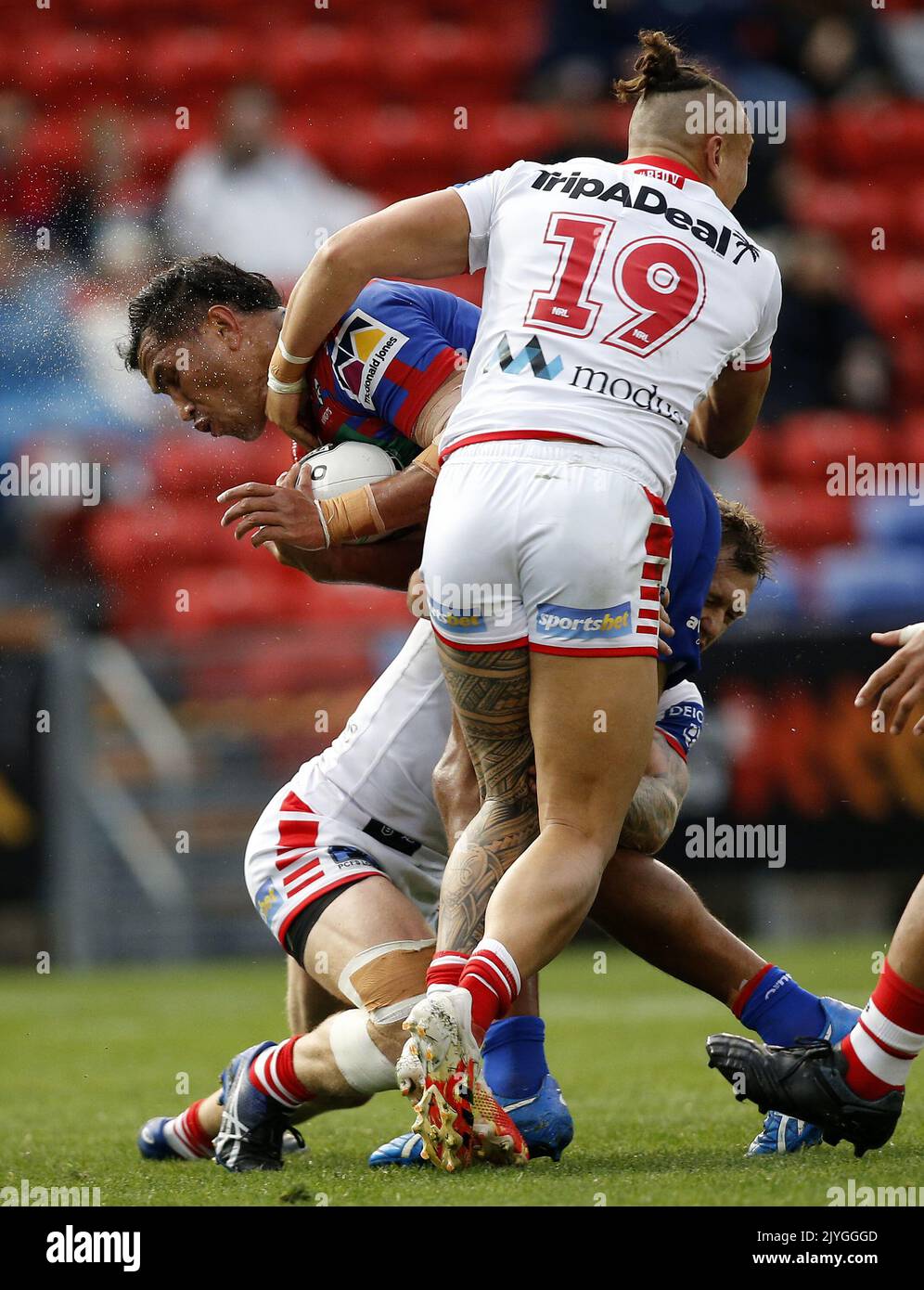 Jacob Saifiti of the Knights barges through to score a second half try ...