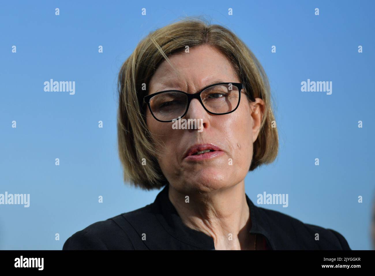 NSW Chief Health Officer Dr Kerry Chant at a press conference in Sydney ...