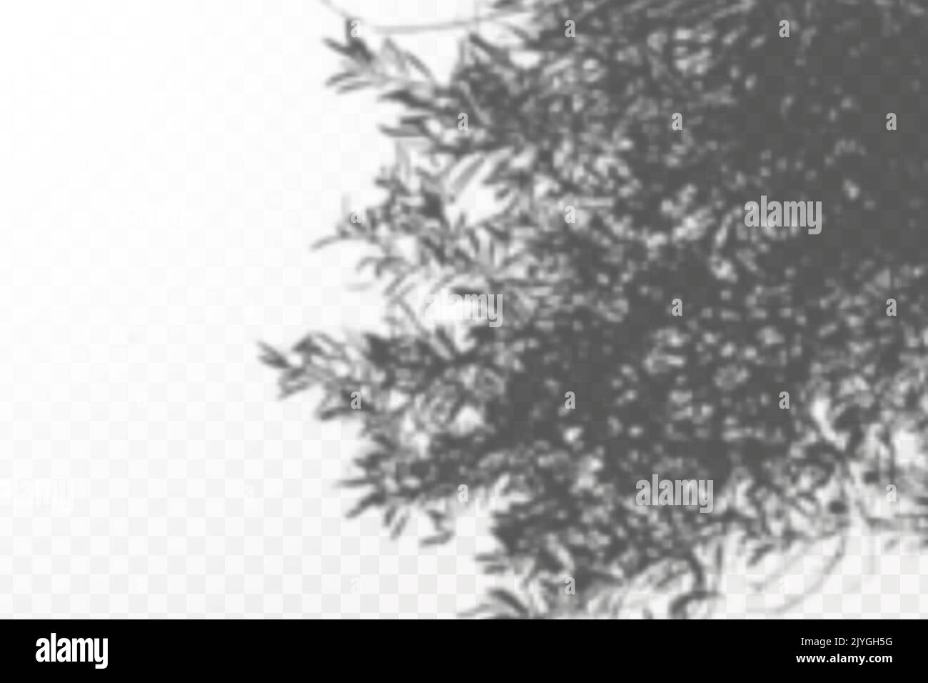 The effect of overlaying shadows. Natural light layout.Realistic shadow ...