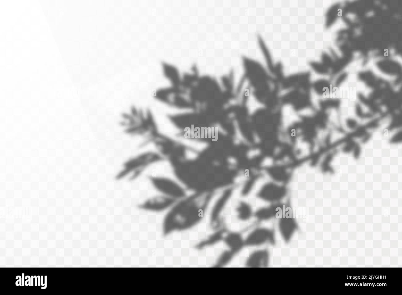 The effect of overlaying shadows. Natural light layout.Realistic shadow ...