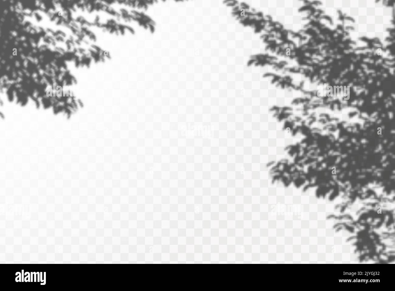 The effect of overlaying shadows. Natural light layout.Realistic shadow ...