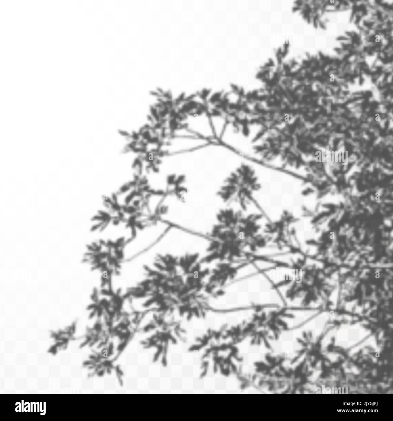 The effect of overlaying shadows. Natural light layout.Realistic shadow ...