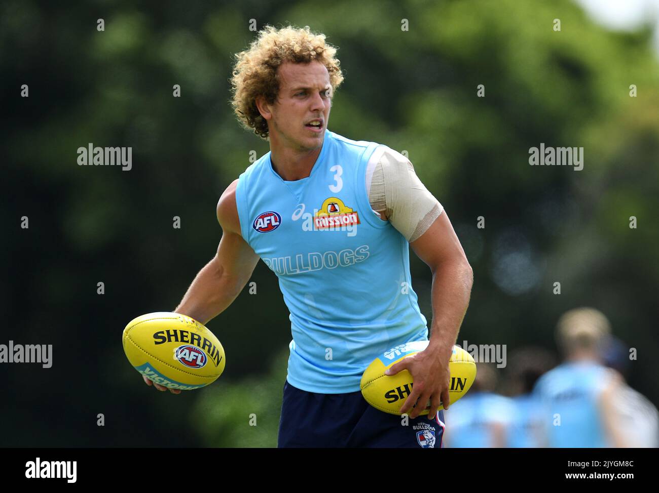 Mitch Wallis of the Bulldogs during a Western Bulldogs AFL training ...