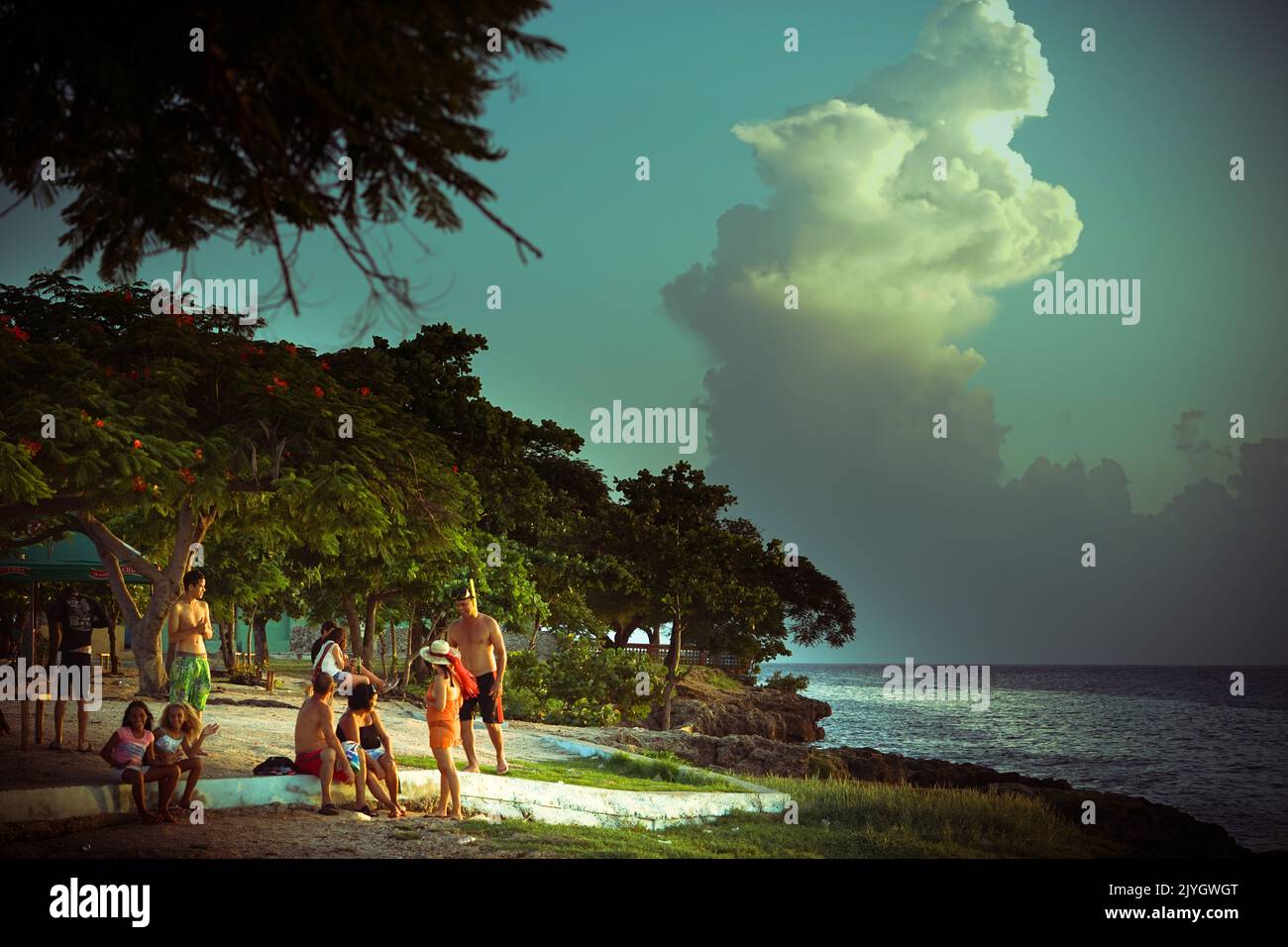 lush beach landscape with forest and sky with beautiful cloud Stock ...