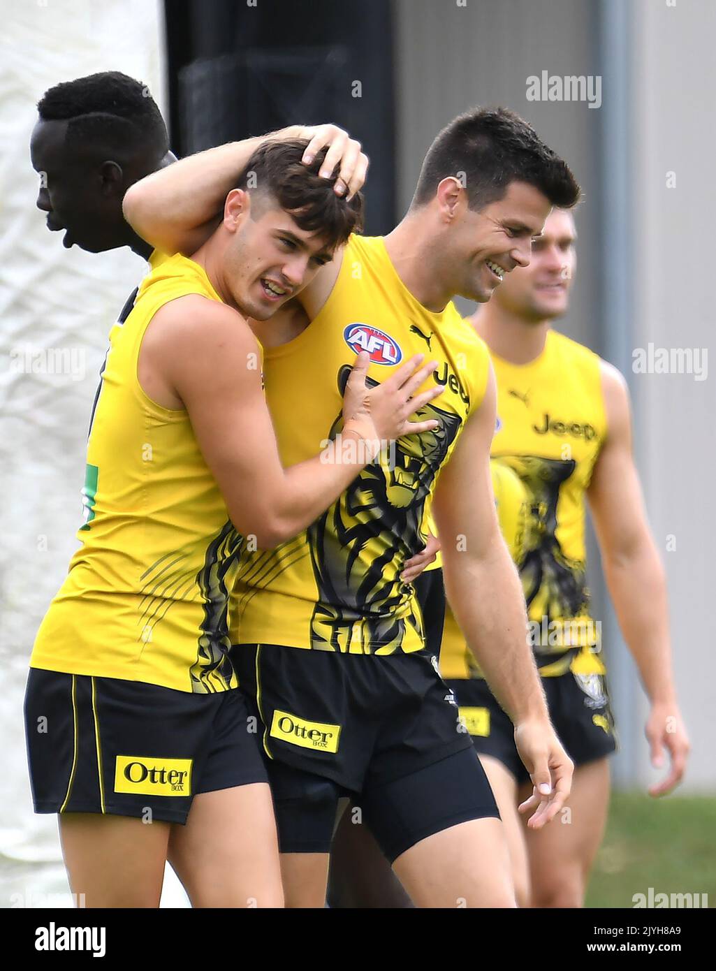 Patrick Naish (left) reacts with Trent Cotchin during the Richmond ...