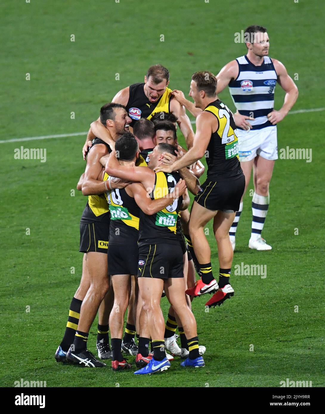 Tigers celebrates winning the AFL Grand Final between the Richmond ...