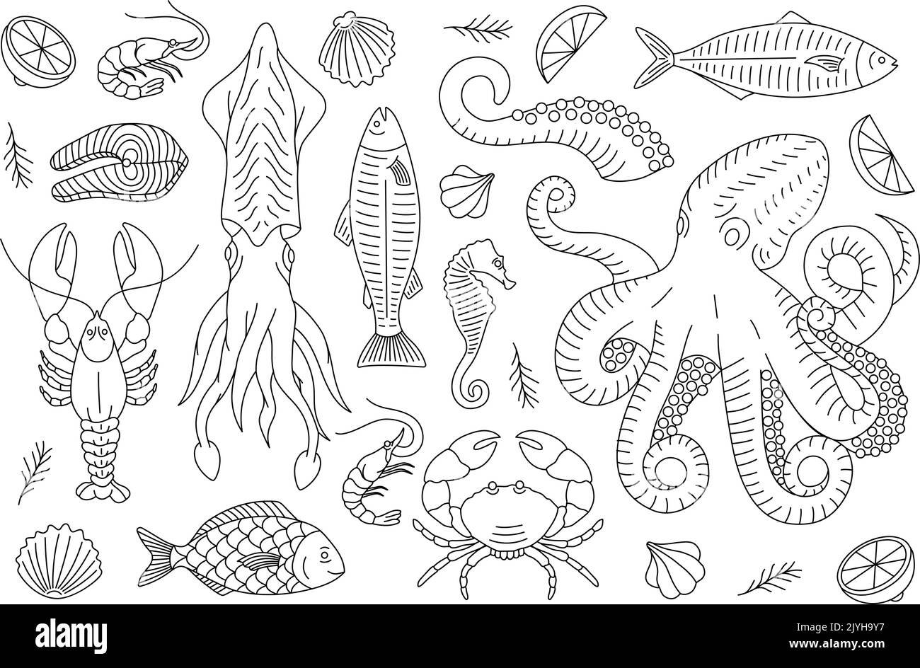 Seafood outline sketch set. Sea animal line banner. Seafood meal menu ...