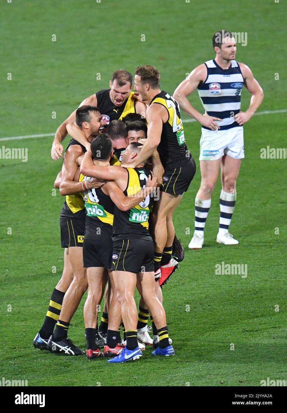 Tigers celebrates winning the AFL Grand Final between the Richmond ...