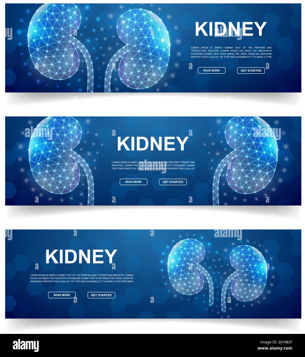 Kidneys transplant Cut Out Stock Images & Pictures - Alamy