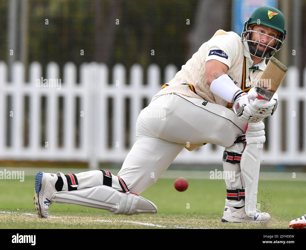 Matthew Wade of the Tigers bats during day 2 of the Round 3 Marsh ...
