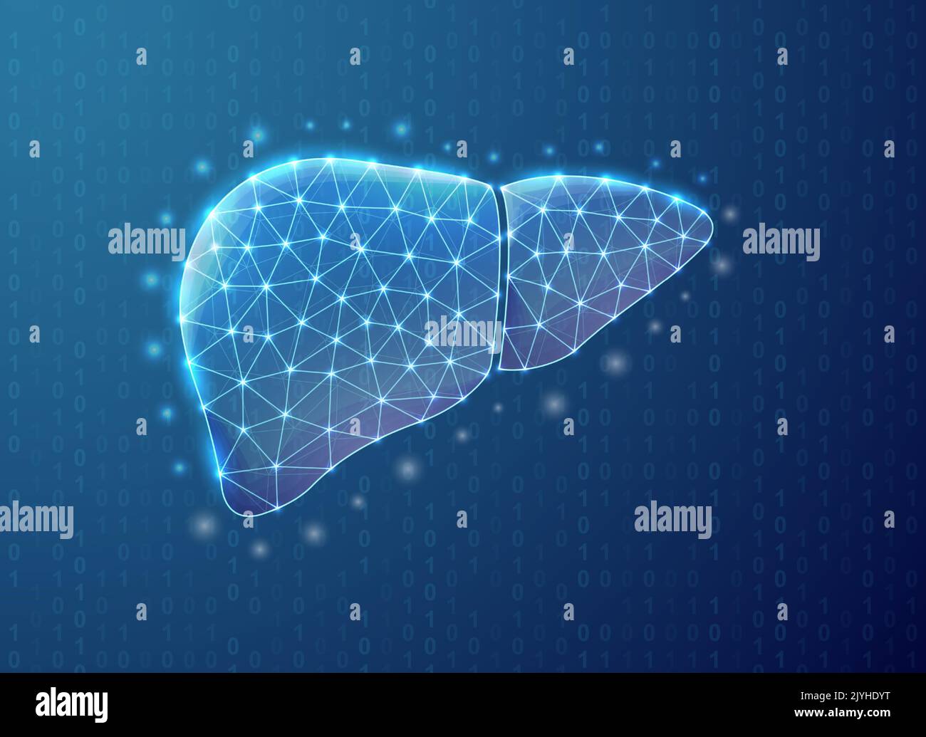 Liver Polygonal Symbol With Binary Code Background Hepatitis Concept